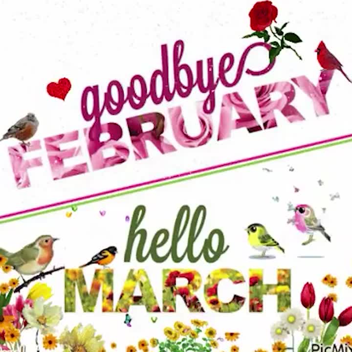 Goodbye February Hello March